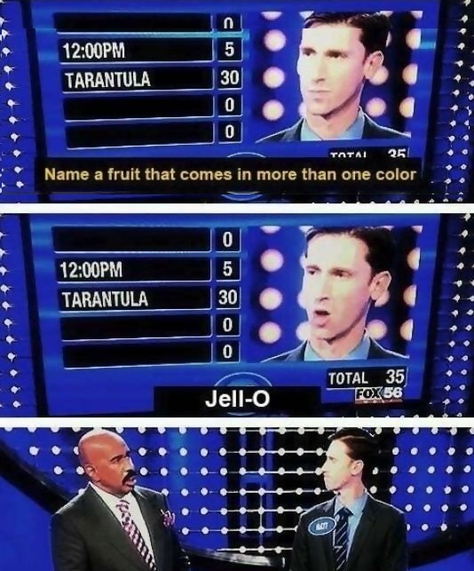 40 hilarious game show answers we can’t believe people said out loud